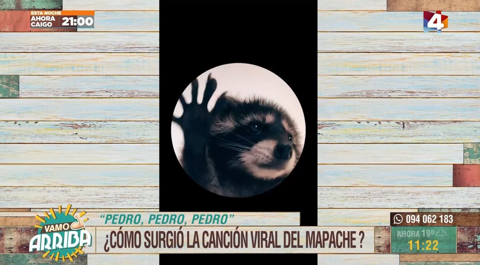 Vamo Arriba - Pedro, Pedro, Pedro ¿Cómo surgió la canción viral del ...